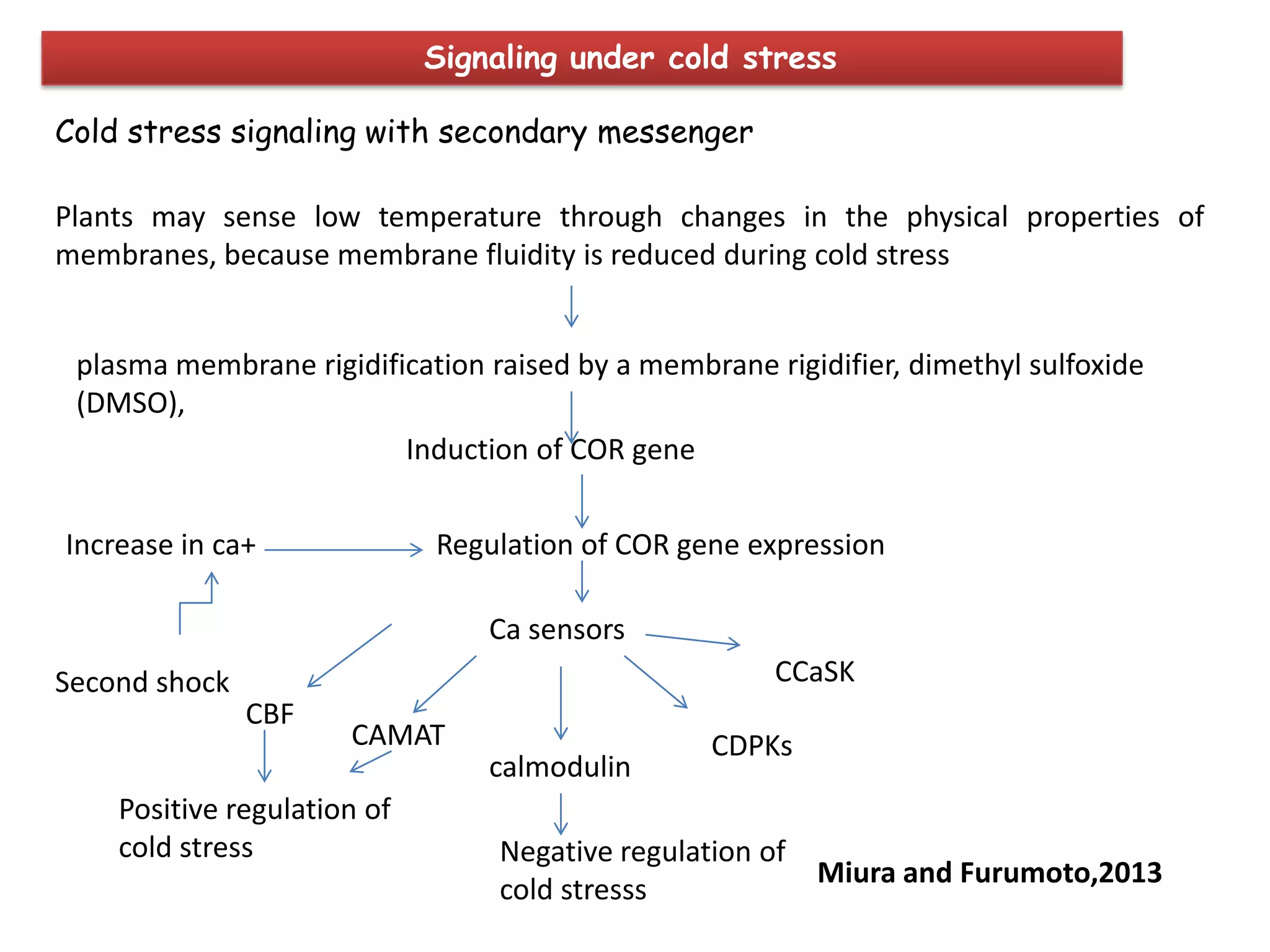 Cellular signal transduction pathways under abiotic stress | PPTX