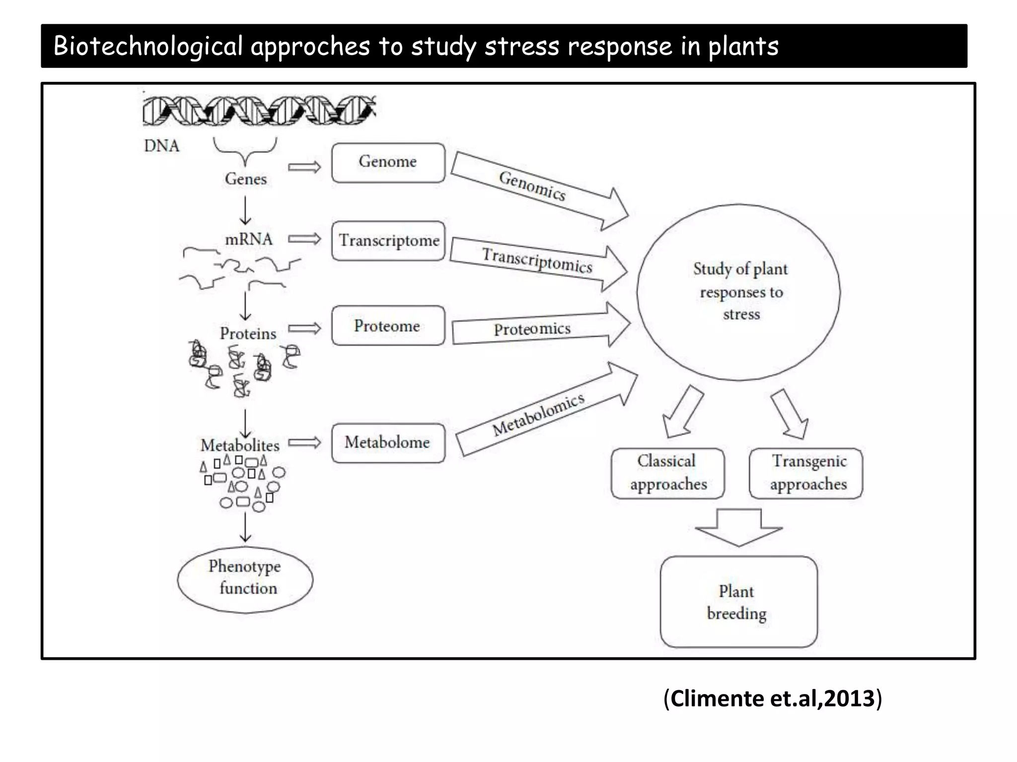 Cellular signal transduction pathways under abiotic stress | PPTX
