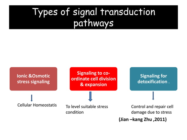Cellular signal transduction pathways under abiotic stress | PPTX ...