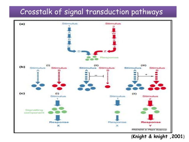 Cellular signal transduction pathways under abiotic stress | PPTX ...