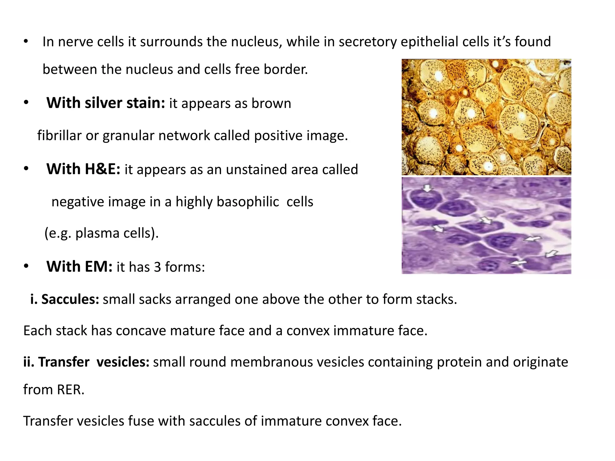 Cellular Structure.pdf