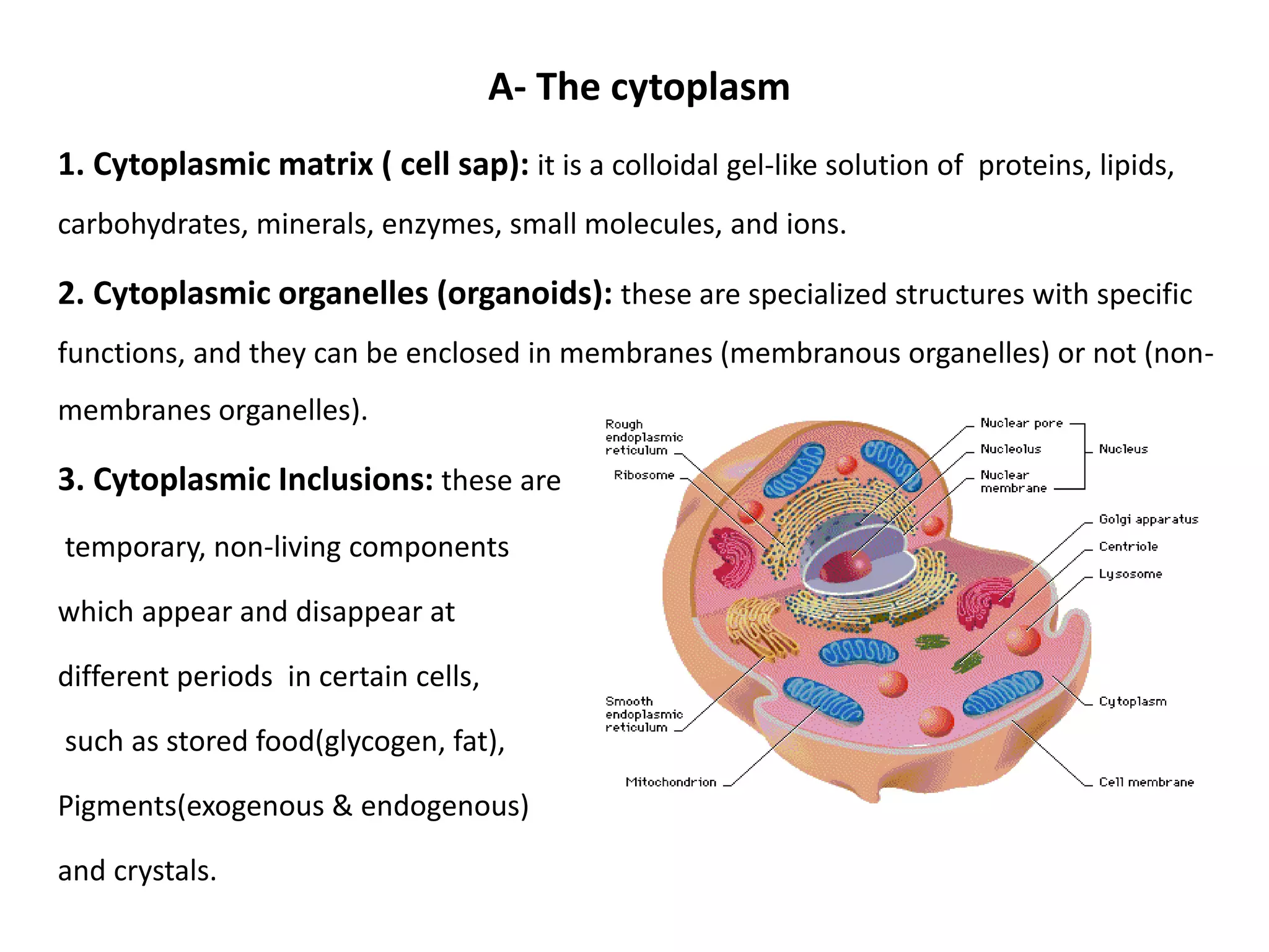 Cellular Structure.pdf