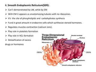 Cellular Structure.pdf