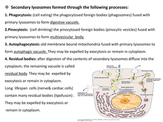 Cellular Structure.pdf