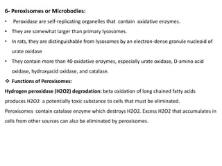 Cellular Structure.pdf