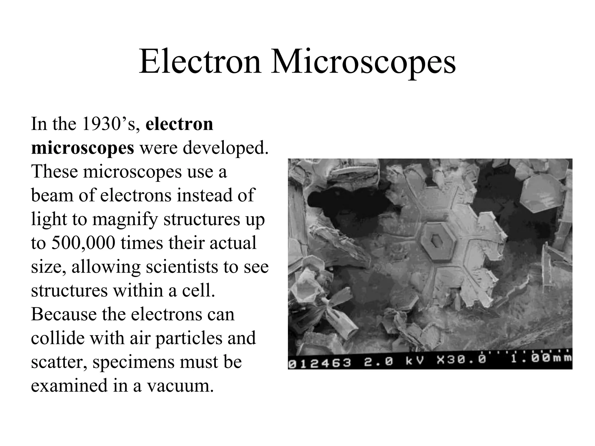 Cellular structure and function | PPTX