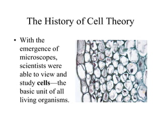 Cellular structure and function | PPTX