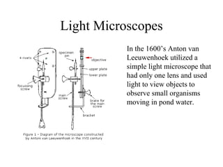 Cellular structure and function | PPTX