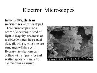 Cellular structure and function | PPTX