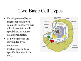 Cellular structure and function | PPTX