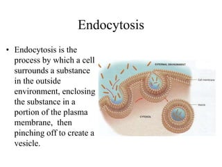 Cellular structure and function iii | PPT