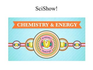 Cellular structure and function iii | PPT