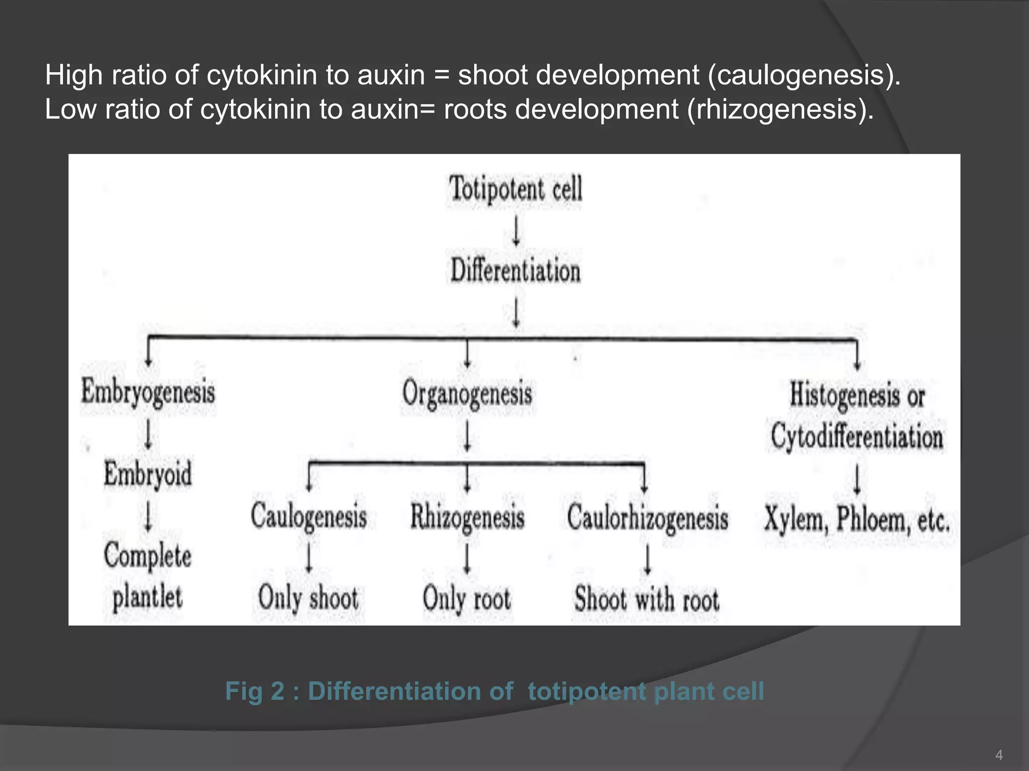Cellular totipotency in plants | PPTX