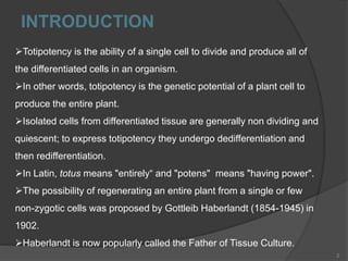 Cellular totipotency in plants | PPTX