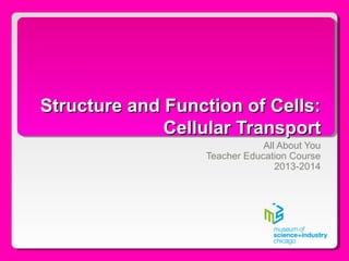 Cellular transport | PPT