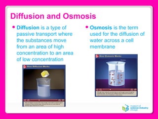Cellular transport | PPT