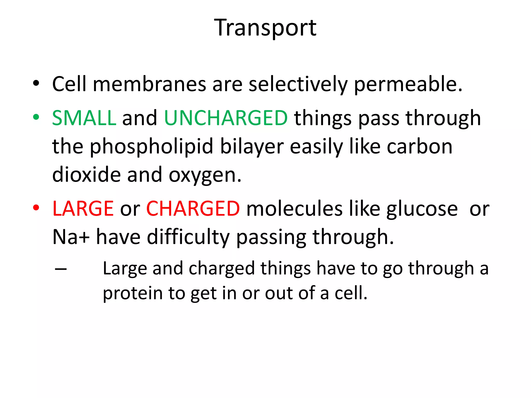 cellular transport.pdf