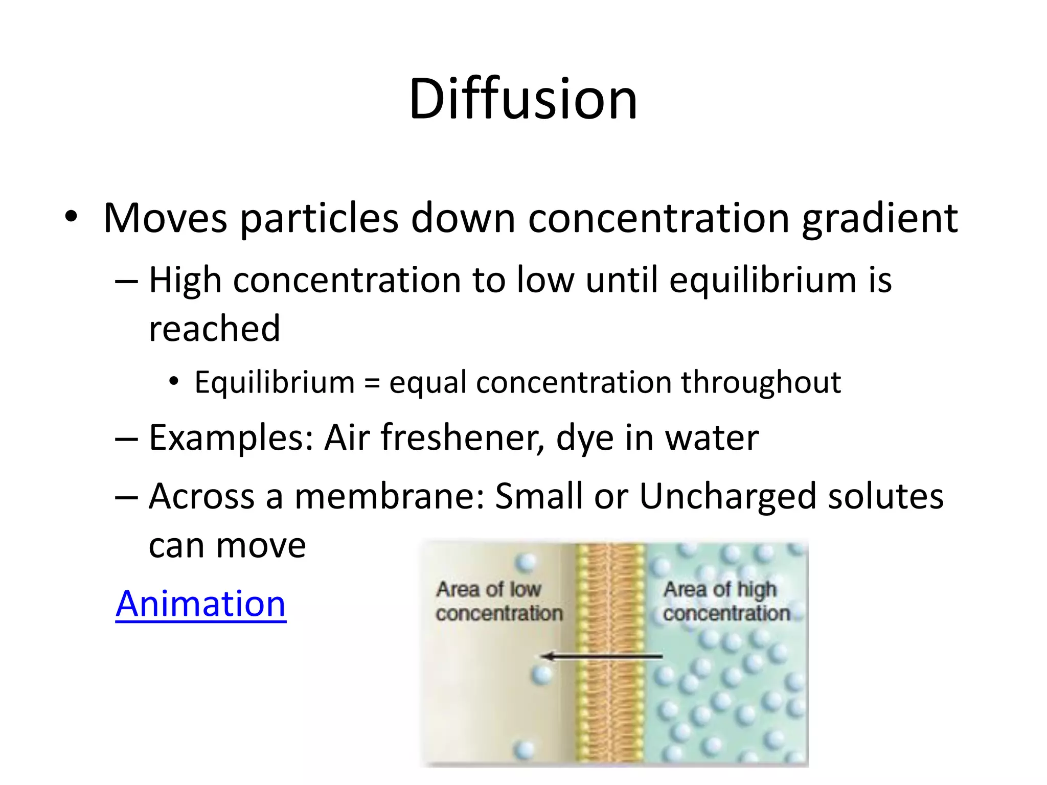 cellular transport.pdf