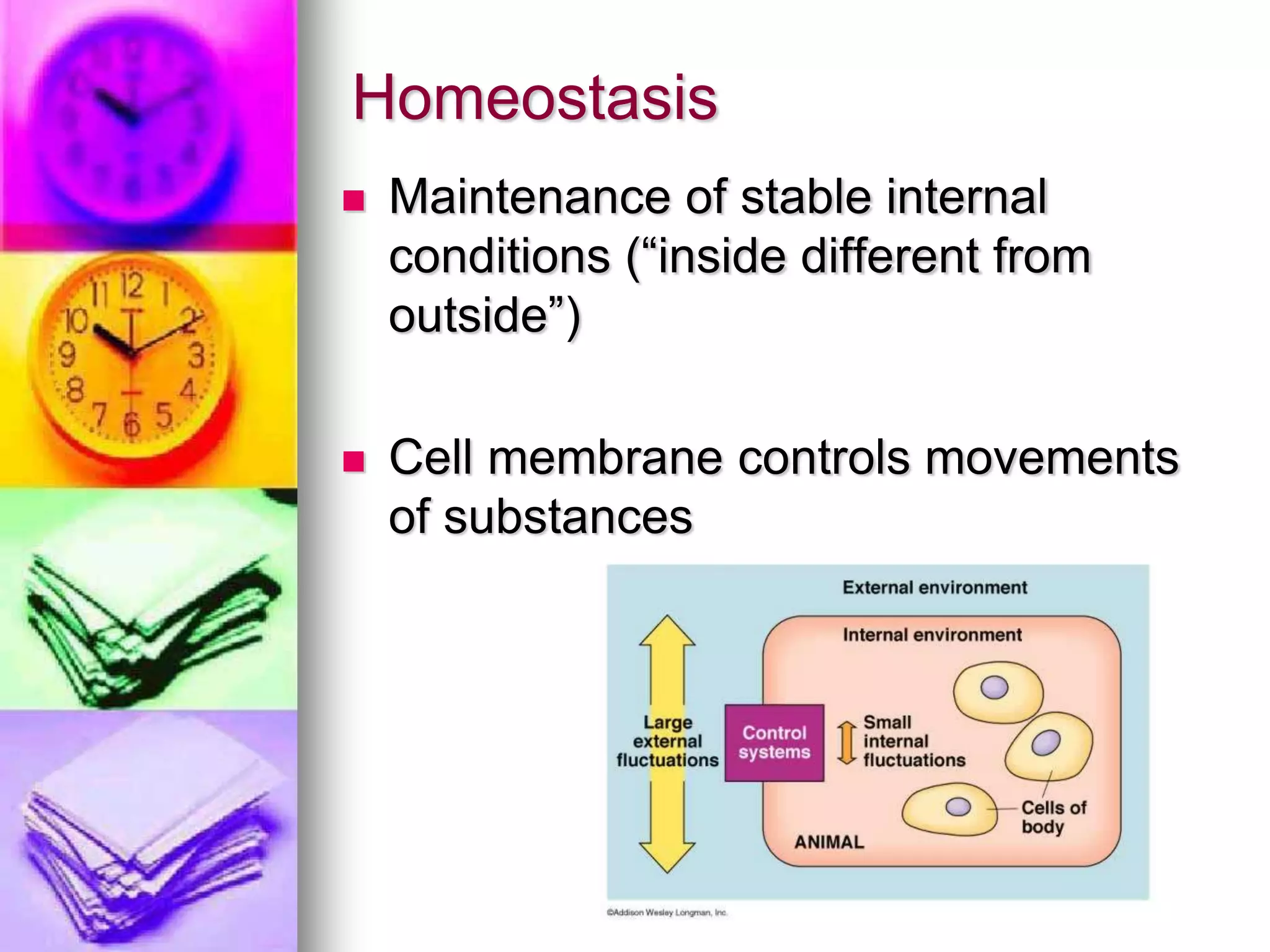 Osmosis and Diffusion | PPTX