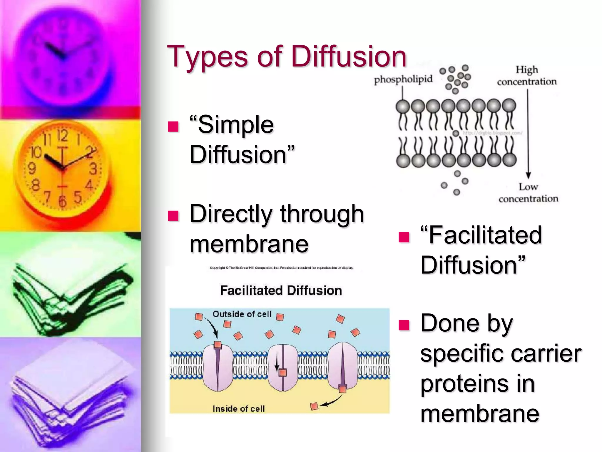 Osmosis and Diffusion | PPTX