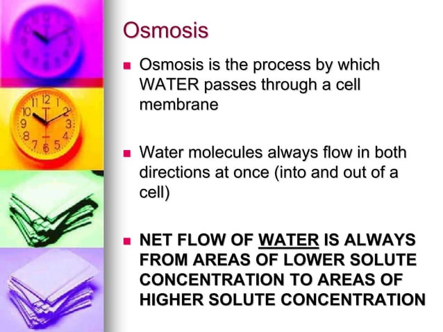 Osmosis and Diffusion | PPTX