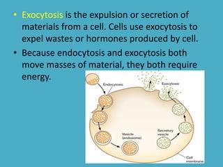 Cellular transport and cell cycle | PPTX