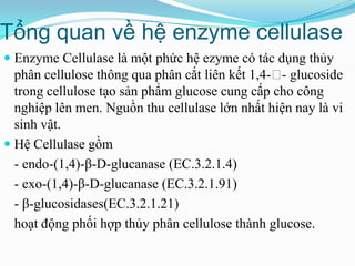 Cellulase | PPTX