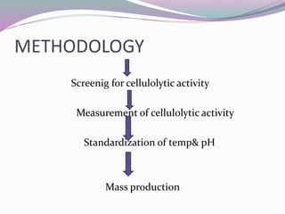 Cellulase | PPTX