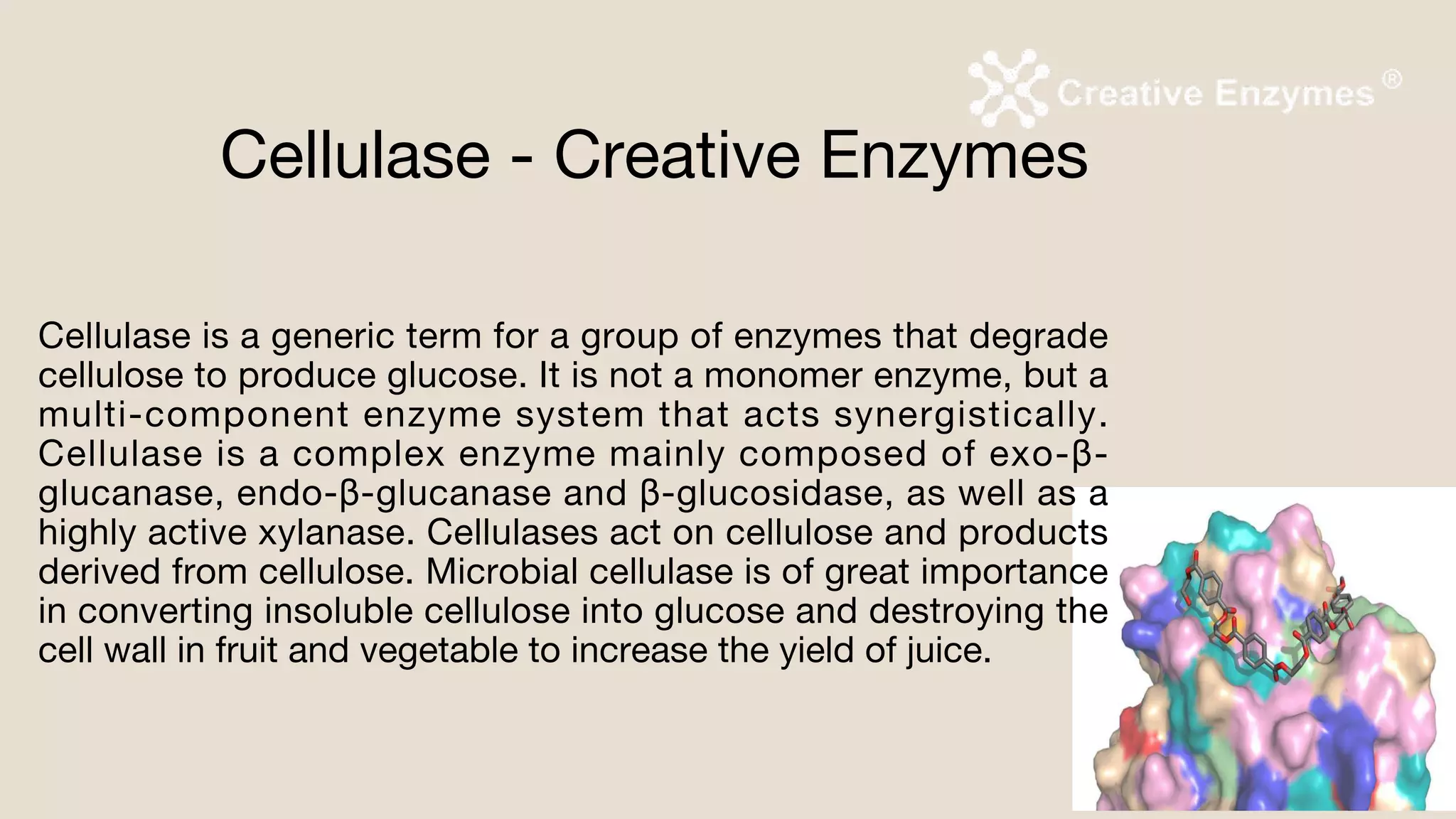 Cellulase - Creative Enzymes | PPT