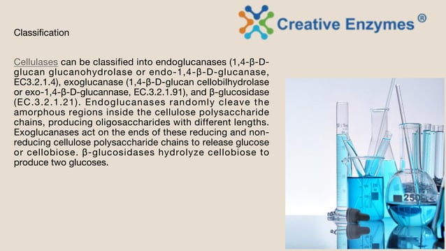 Cellulase Creative Enzymes Ppt 