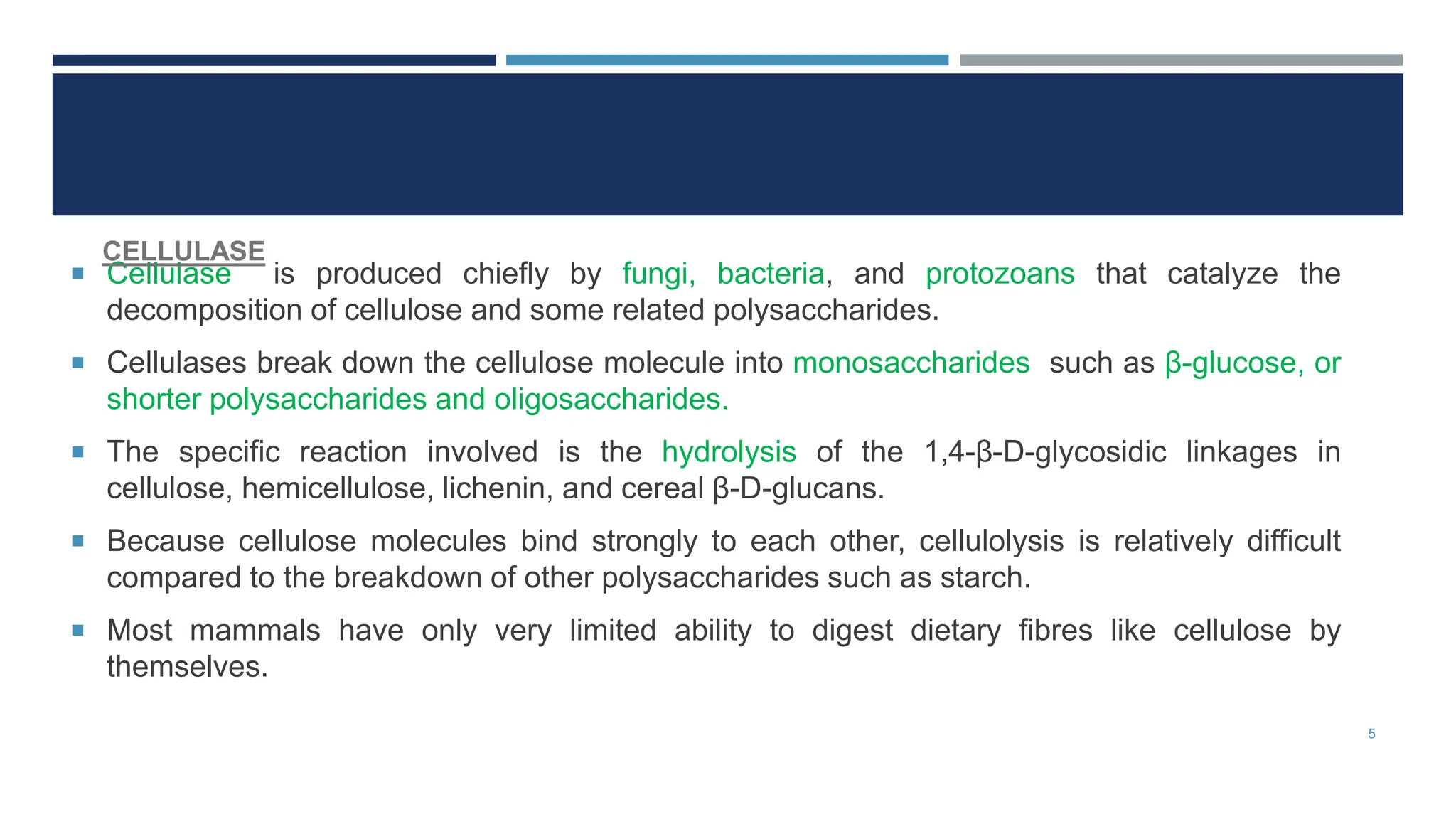 commercial production of cellulase enzyme and its uses | PPTX