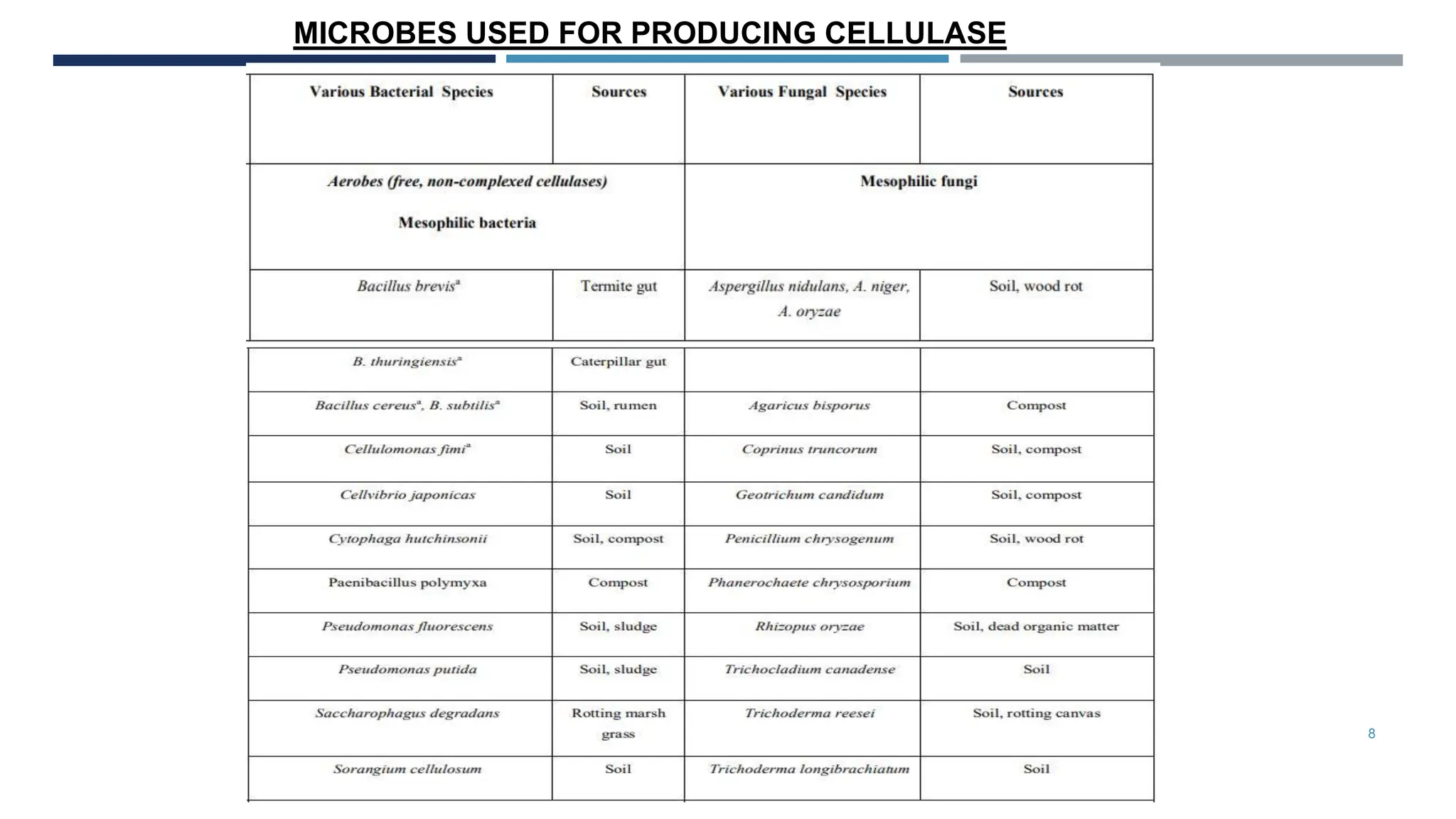 commercial production of cellulase enzyme and its uses | PPTX