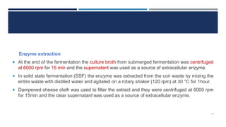 commercial production of cellulase enzyme and its uses | PPTX