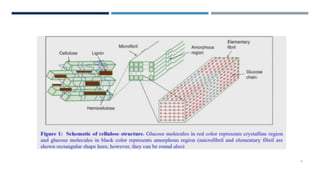 commercial production of cellulase enzyme and its uses | PPTX ...
