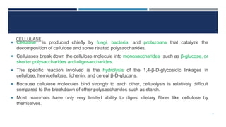 commercial production of cellulase enzyme and its uses | PPTX