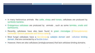 commercial production of cellulase enzyme and its uses | PPTX