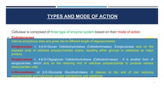 commercial production of cellulase enzyme and its uses | PPTX ...