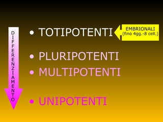 Cellule staminali | PPT