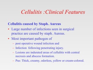 Cellulites [ compatibility mode].pptx