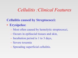 Cellulites [ compatibility mode].pptx