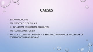 Cellulitis | PPTX | Skin and Dermatology | Diseases and Conditions