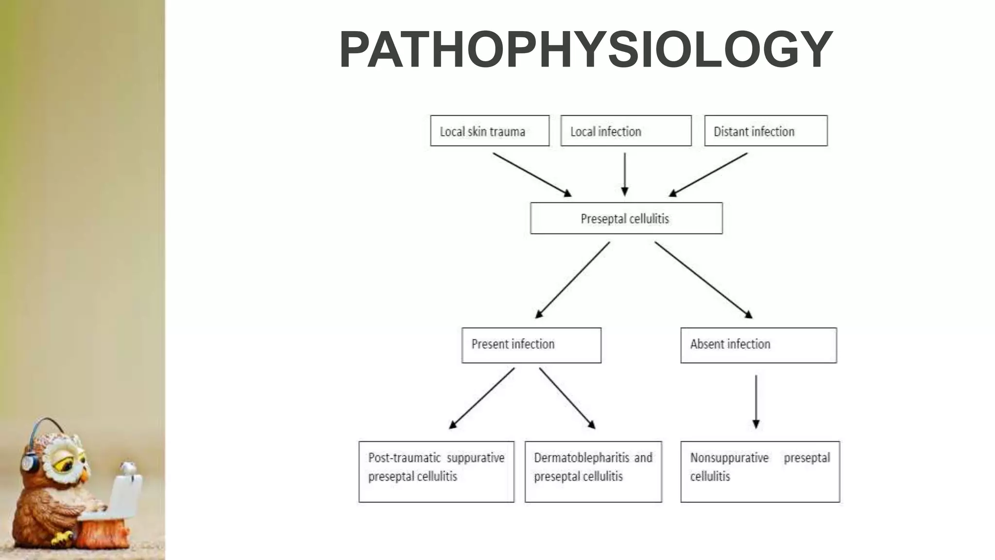 Cellulitis | PPTX | Skin and Dermatology | Diseases and Conditions