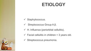 Cellulitis | PPTX | Skin and Dermatology | Diseases and Conditions