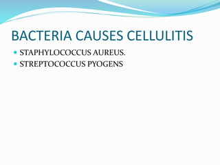 CELLULITIS superficial bacterial infection.pptx