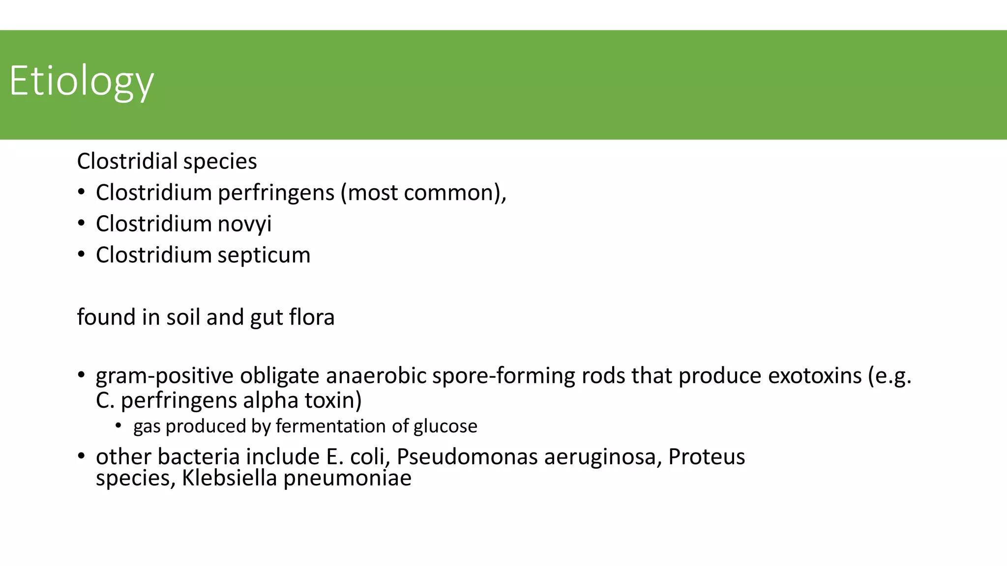 CELLULITIS AND NECROTISING FASCITIS PPT.pptx