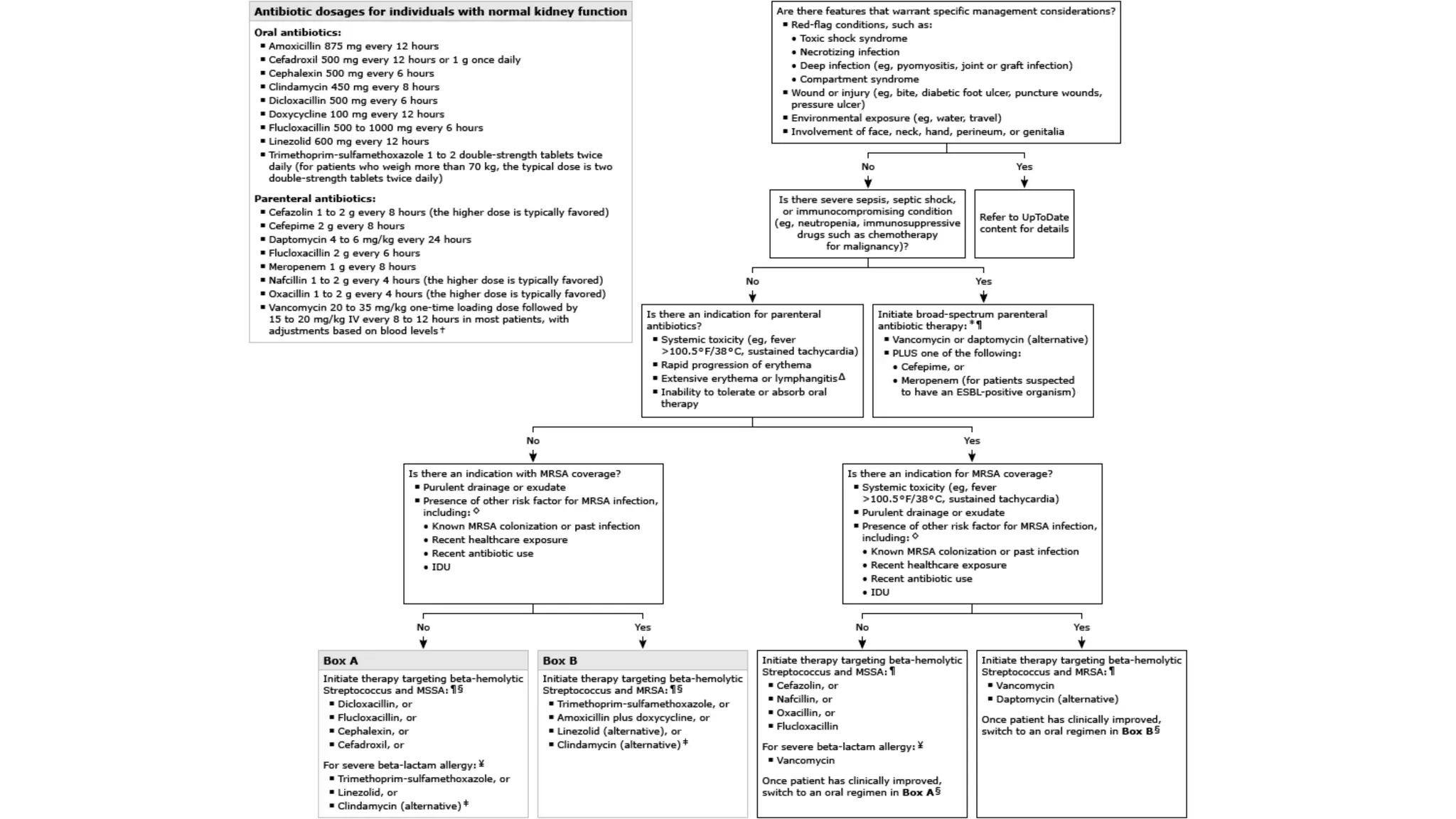 Cellulitis, erysipelas, abscess presentation | PPTX