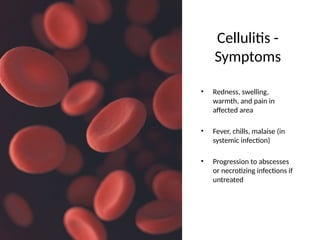 Common Skin Infections for Medical Students | PPTX