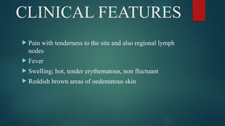 CELLULITIS(THINDWA).pptx written by Dani | PPTX