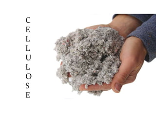 Cellulose | PPTX
