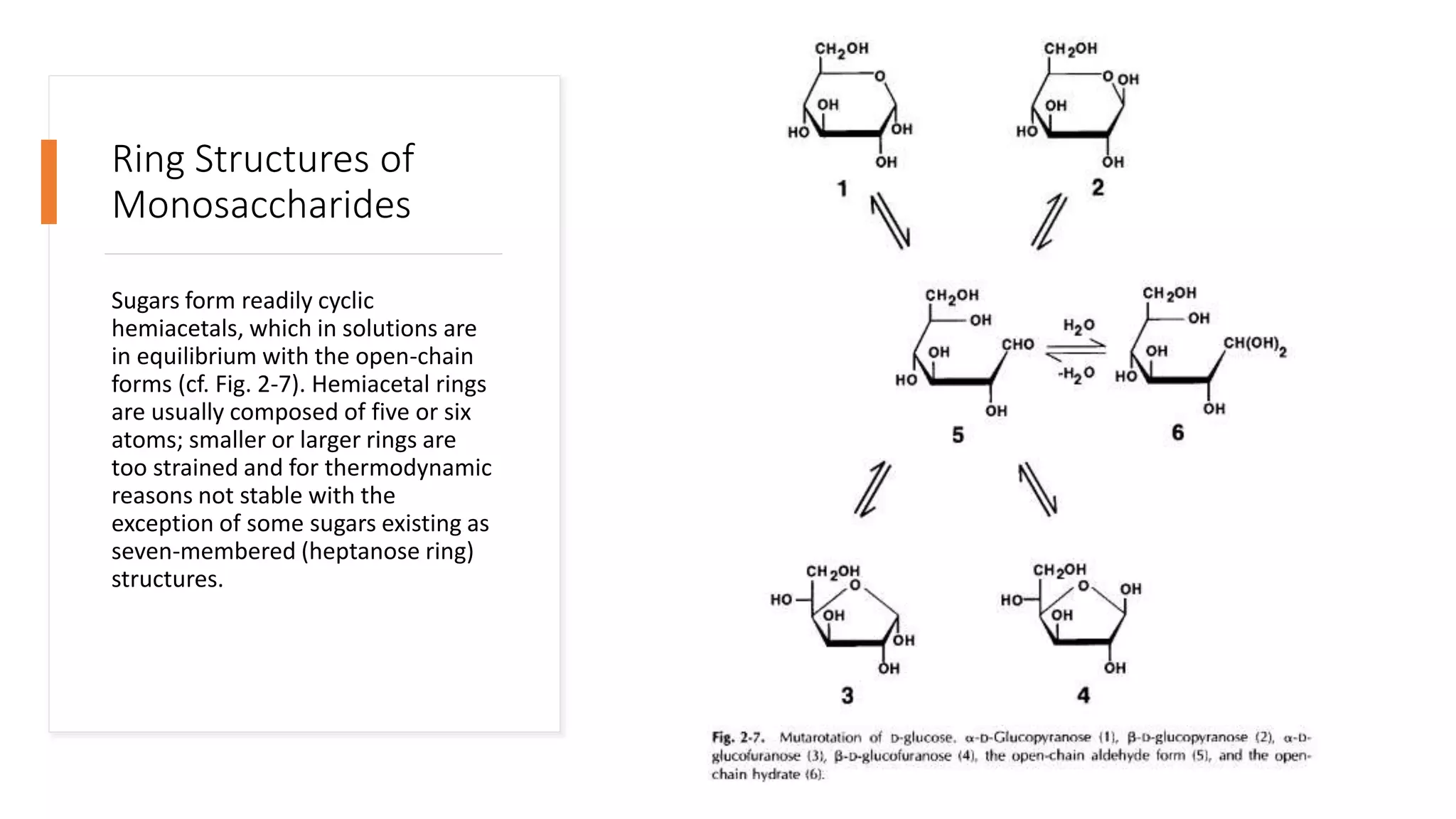 Cellulose | PPTX